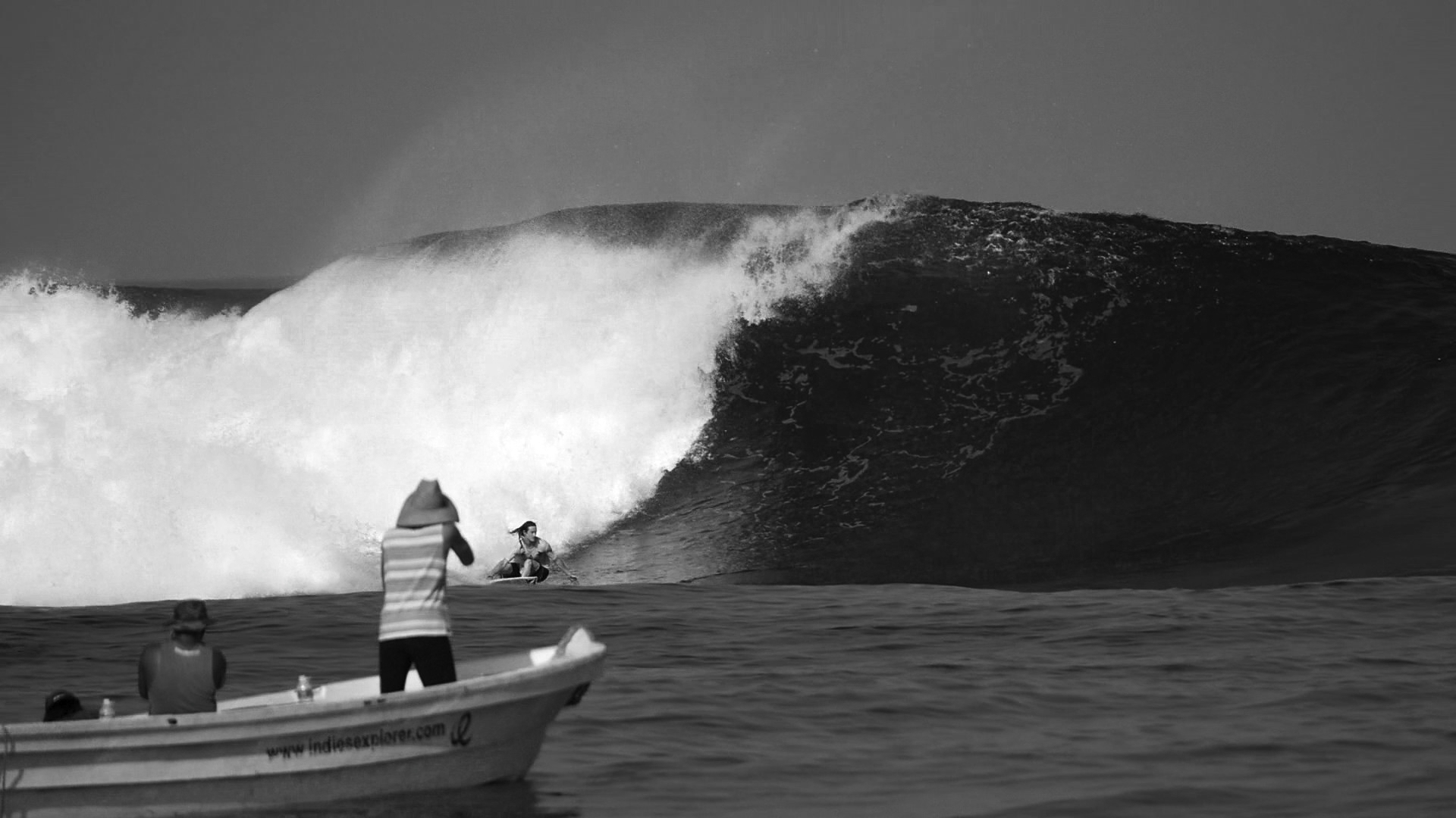 MISFIT SURFBOARDS FOR SALE - Free Shipping & Best Price Guarantees ...