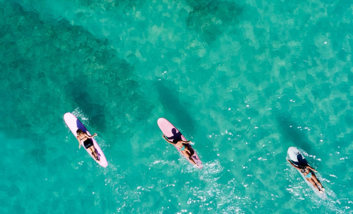 ROXY SURF Surfboards, Softboards and Surf Accessories FOR SALE - Free ...