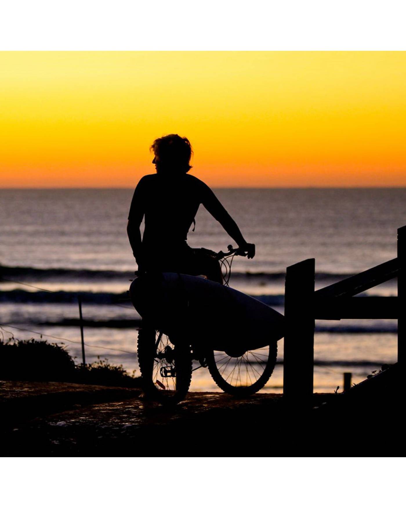 Bike Rack | Ocean and Earth Side Loader | Boardcave Australia