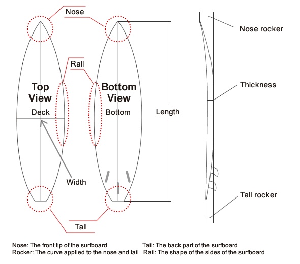 Types of Surfboards and When To Use Them | Boardcave USA